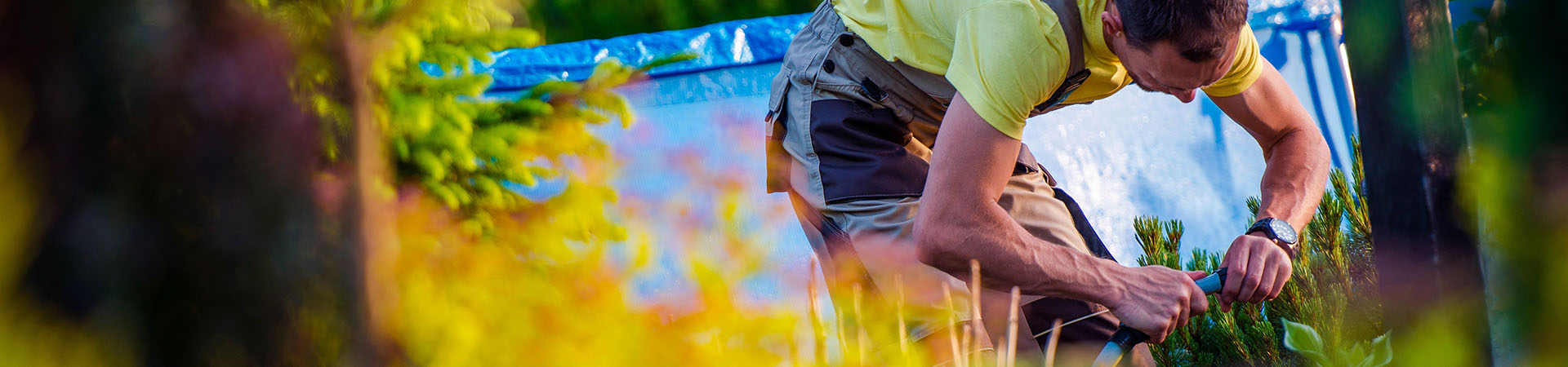 Join our Community - ALMA